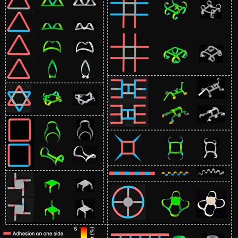 Complex 3d Geometries Programmed By Designing The Layout Of The 2d