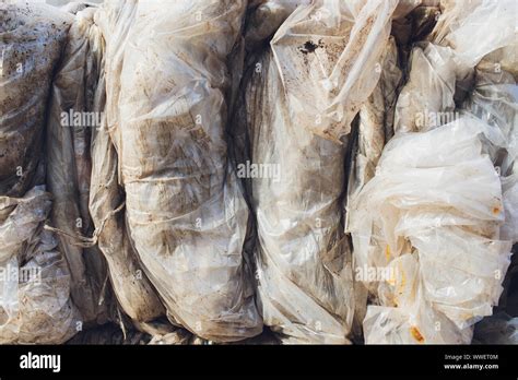 Background Garbage Bag Black Bin Waste Garbage Dump Bintrash
