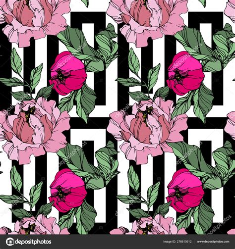 Vector Pink Peony Flower Engraved Ink Art Seamless Background Pattern