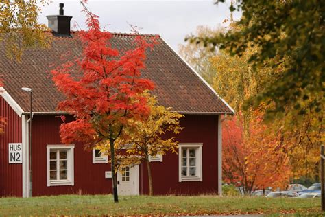 가을 단풍 속 스칸디나비아 레드 하우스 · 무료 스톡 사진