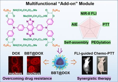 Multifunctional Add On” Module Enabled Nir Ii Imaging Guided Synergistic Photothermal And