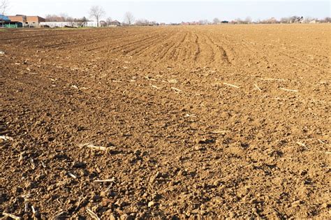 봄 농업 작업을위한 경작 가능한 들판 트랙터 또는 결합의 통로에서 고랑 땅에 옥수수 가루 심기를위한 비옥 한 토양 비료는 좋은