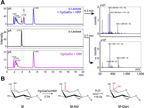 Lc Ms Analysis Of Fgrgalox Reaction Products A Lc Ms Analysis Download Scientific Diagram
