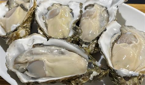 生蚝这样蒸才叫绝 从挑选到开壳，鲜嫩多汁不缩水