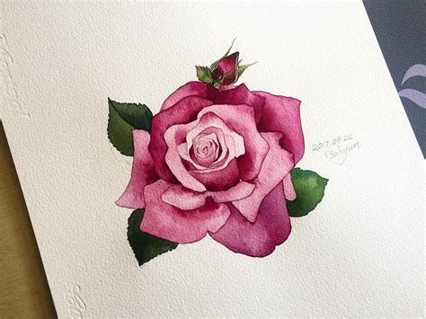 나의 피드에 꽃그림이 없음 서운하지~ 그자리를 채워준 장미이쁘다~ 즐거운 주말을 맞이하기 직전 장미 그리기 그림 꽃그림 수채화 감성수채화 수채일러스트