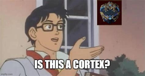 Every Single Time With Every Synth Map Rpathofexile