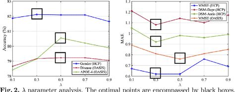 Interpretable Spatio Temporal Embedding For Brain Structural Effective