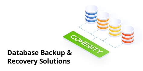 Enterprise Database Backup And Recovery Solutions Cohesity