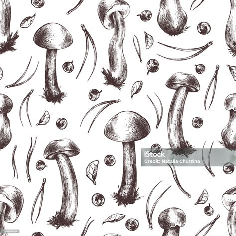 숲 식용 버섯 Boletus 잎 블루 베리 및 솔잎 그래픽 일러스트 갈색 잉크로 그린 손 라인 아트 모노크롬 원활한 패턴 숲