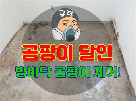 아파트 방바닥 곰팡이 제거 재발 방지 효과적인 전략 네이버 블로그