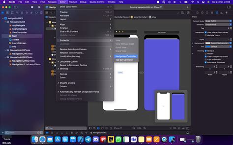 Uikit Swiftui Navigation Tutorial By Raffaella Iacoviello Medium