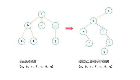 树二叉树森林的转换（详解）（c语言版）森林和二叉树转化程序 Csdn博客