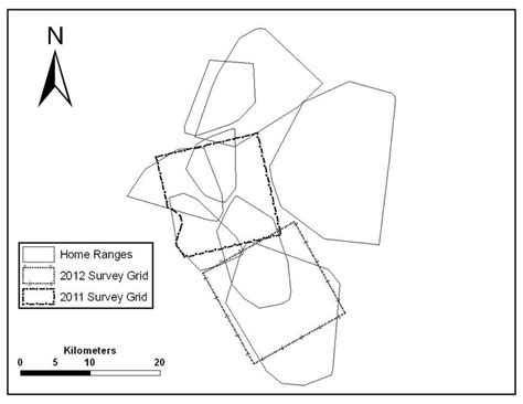 ninety five percent minimum convex polygon home ranges of 8 cougars