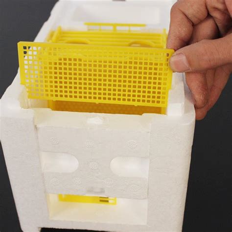 Plastic Bee Box Bees Tail Box Honeycomb Box Harves Vicedeal