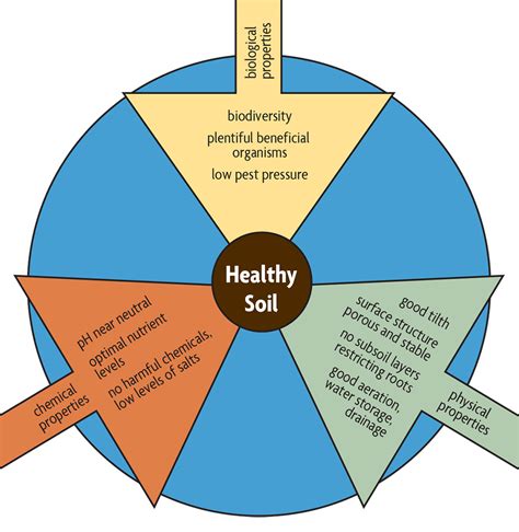 Ch Soil Health Plant Health And Pests Tips Tree Planting