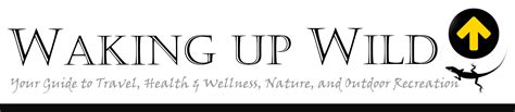 Bird Feather Identification Guide Waking Up Wild Waking Up Wild