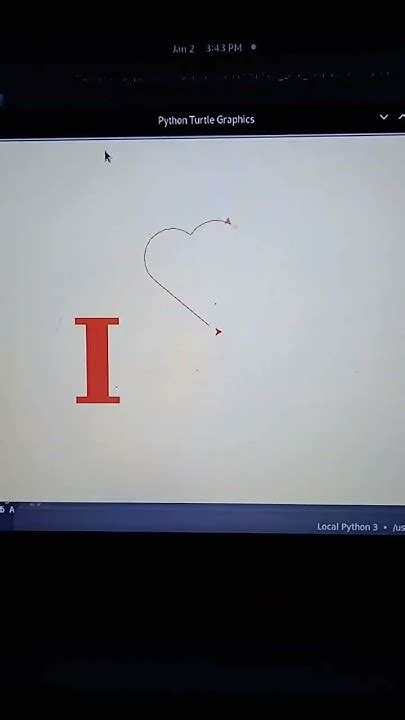 I Love You In Python ️ Python Pythonprojects Shorts Iloveyou Youtube