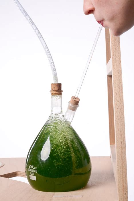 Blond And Biebers Algae Textile Dyes Win Lodz Design Festival Prize