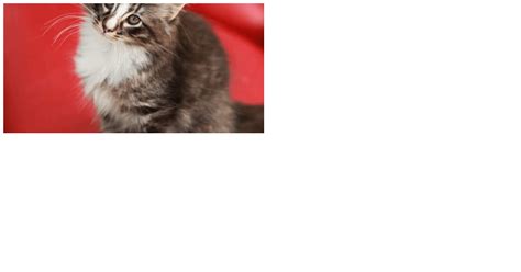 React Konva Blur Part Of Image Codesandbox