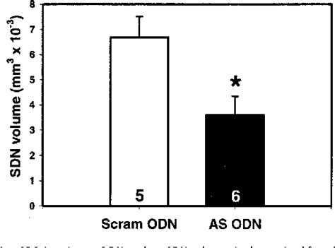 Figure 1 From Steroid Receptor Coactivator 1 Src 1 Mediates The