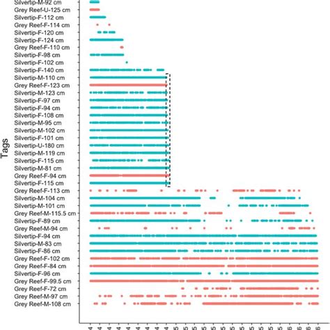 Abacus Plot Of Daily Tag Activity Between April 2014 And April 2016 Download Scientific