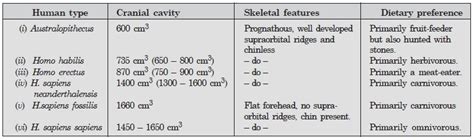 Ncert Solutions For Class 12 Biology Evolution Aasoka