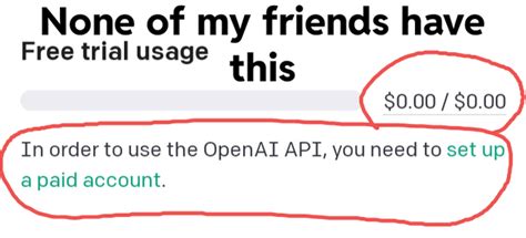 Api Key Wont Work I Literally Just Made This Account On Openai And It