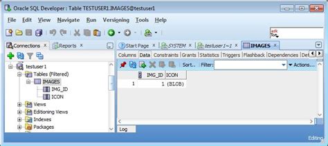 How To Create The Table In Oracle That Is Populated By Imagesblob Fields How To Jaspersoft