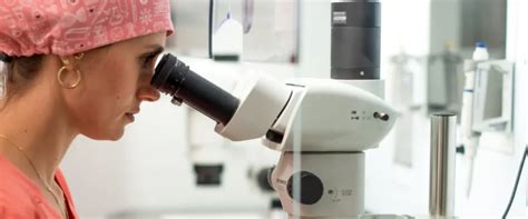 Differences Between Ivf And Artificial Insemination Vida Fertility