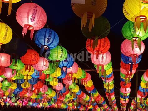 등 연등 초파일 절 사찰 사진 이미지 일러스트 캘리그라피 미르온작가