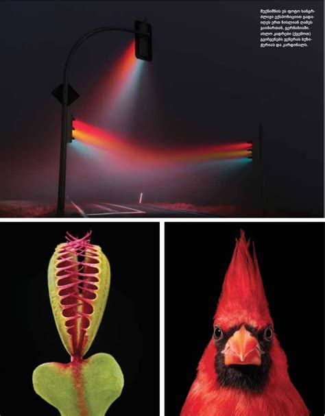 უხილავ საოცრებათა გამოაშკარავება