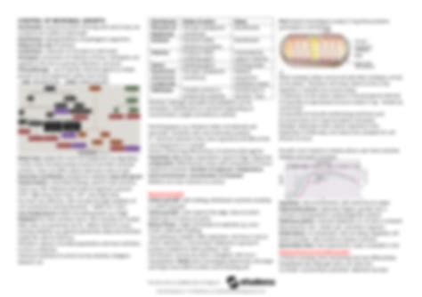SOLUTION Micro Cheat Sheet Studypool