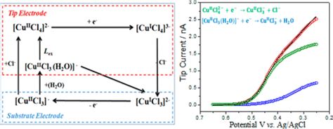 Electrochemical Investigation Of Redox Processes Of Labile Cuiicui