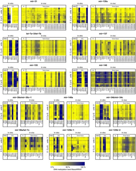 Massarray Analysis Of Dna Methylation Status Of Twelve Selected Mirna