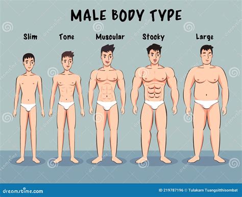 Male Body Type Chart