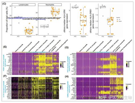 外周血中性粒细胞及研究切入点 知乎