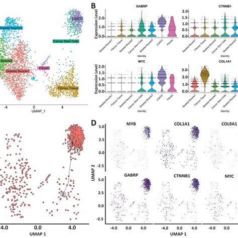 Characterization Of Cluster 3 As Potential Transition Or Cancer Stem