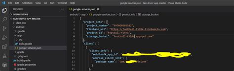 How To Setup Connection Between Firebase Database And Flutter App Nucleio Information Services