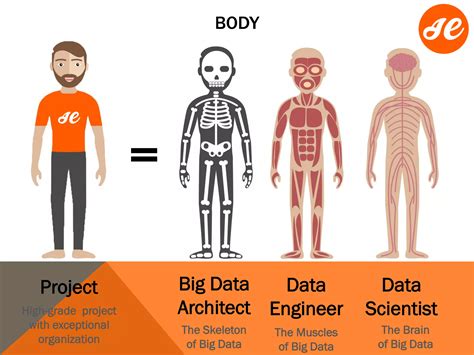 Softelegance Services Data Science Data Engineering Big Data