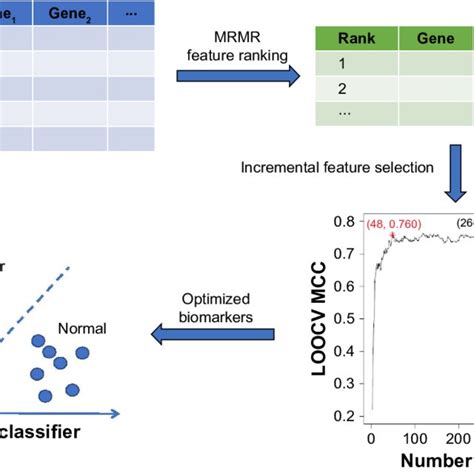 Workflow Of Tep Biomarker Based Nsclc Classifier Construction Notes Download Scientific