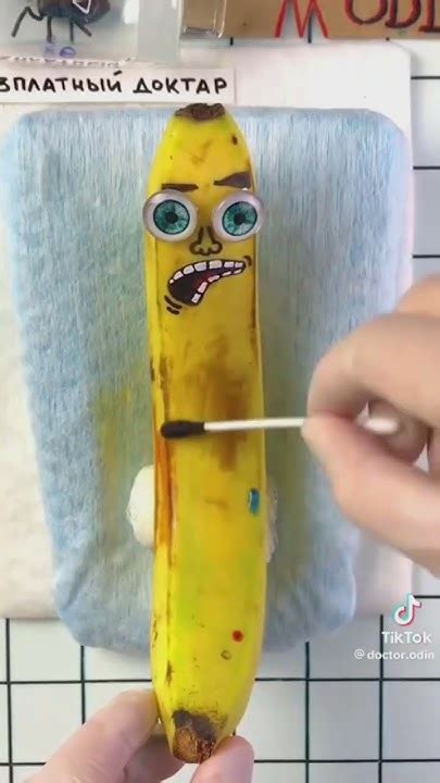 Паук Ядовитый Youtube