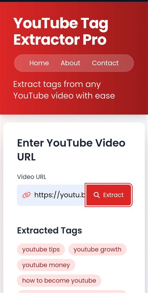 Youtube Tag Extractor Website Script Source Code Sellanycode