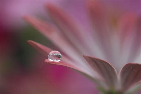 Two Wonders By Sonja Cvorovic 500px