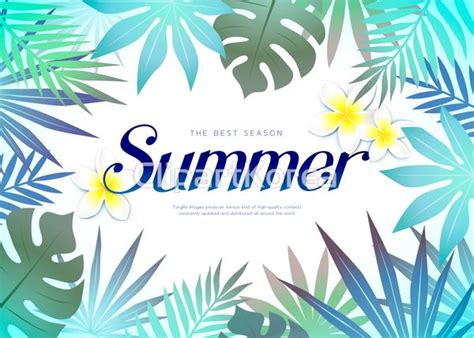 Design에 있는 핀