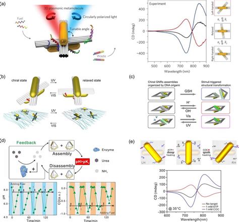 Structural Reconfiguration Of Dna Origami Based Plasmonic Chiral Download Scientific Diagram