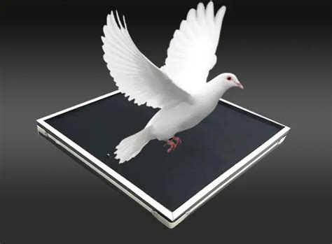 Toys And Hobbies Remote Control Magic Tricks Dove Appear Magia Magician Stage Party Illusions