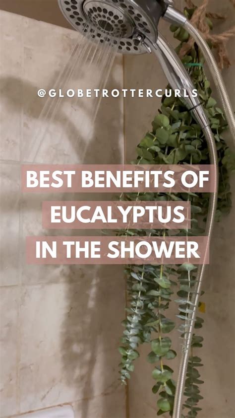 Benefits Of Hanging Eucalyptus In Shower At Ricardo Watkins Blog
