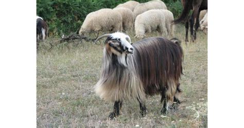 Програмата за селските райони ще бъде представена на Дельовите празници