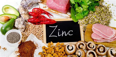 Zinc Testosterone Bodybuilding At Jamie Cartwright Blog