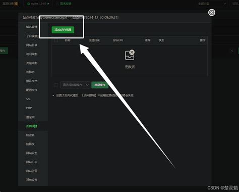 Linux 从零开始的nginx反向代理配置及运用教程sillytavern反向代理 Csdn博客